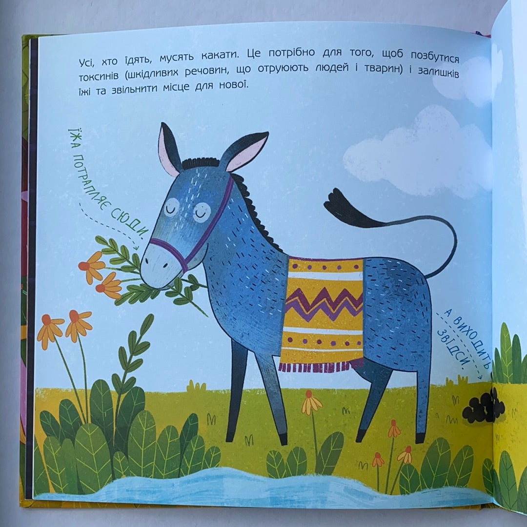 Чарівна книжка про какашки. Ганна Булгакова / Українські дитячі книги ...